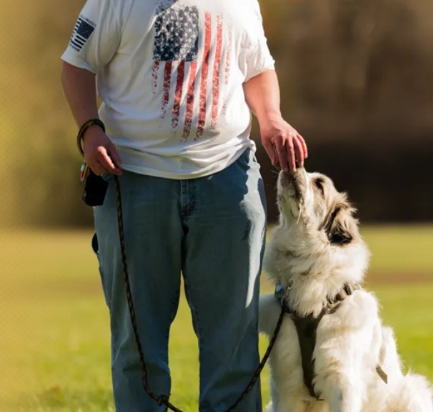 NSB Continues Ongoing Support of Maine Paws for Veterans - Norway ...