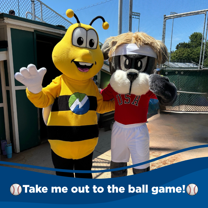 Take Me Out to the Ballgame NSB Ticket Giveaway - Norway Savings Bank